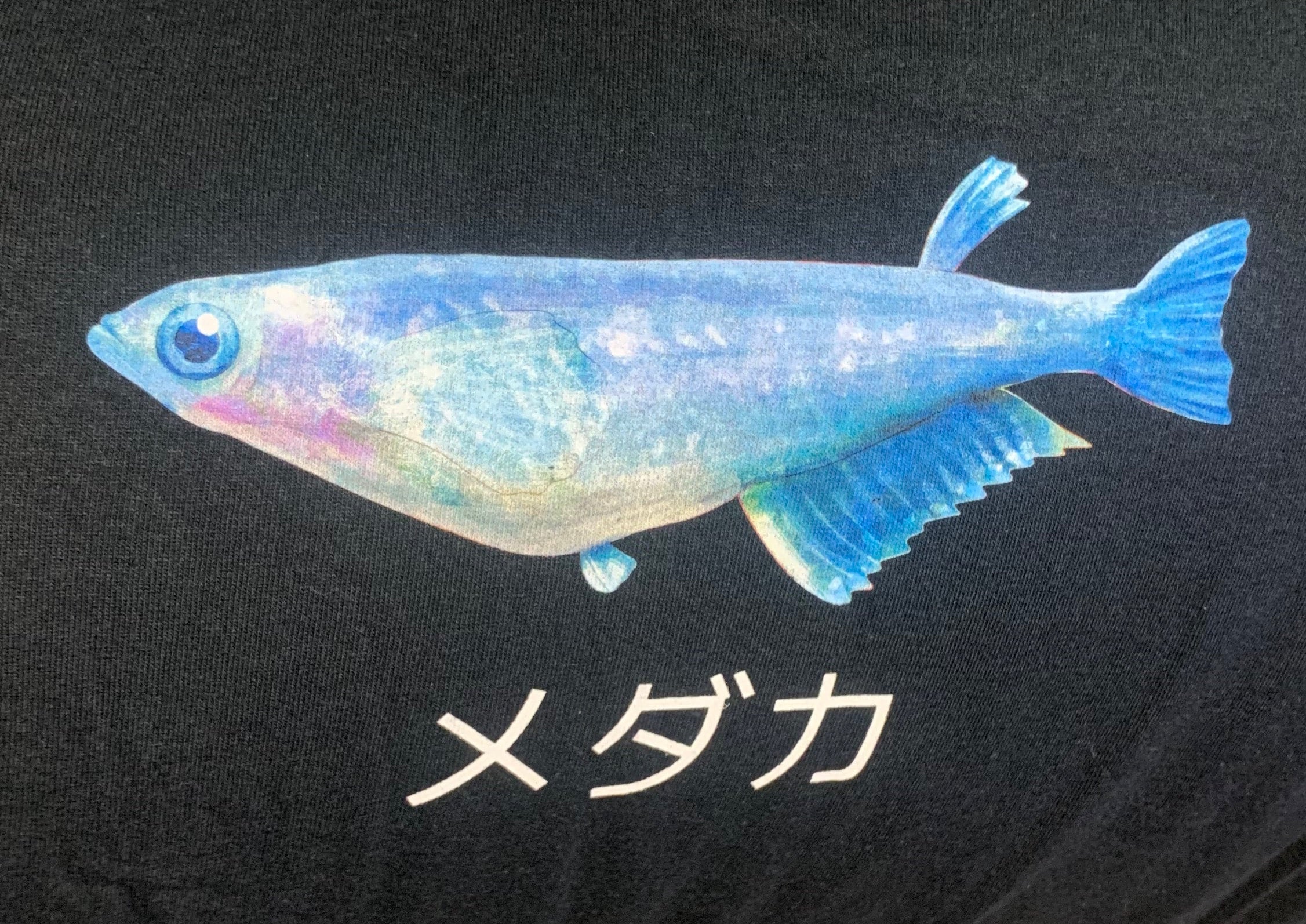Miyuki Medaka Platinum Japanese Rice Fish T-Shirt | Wild Fish Tanks