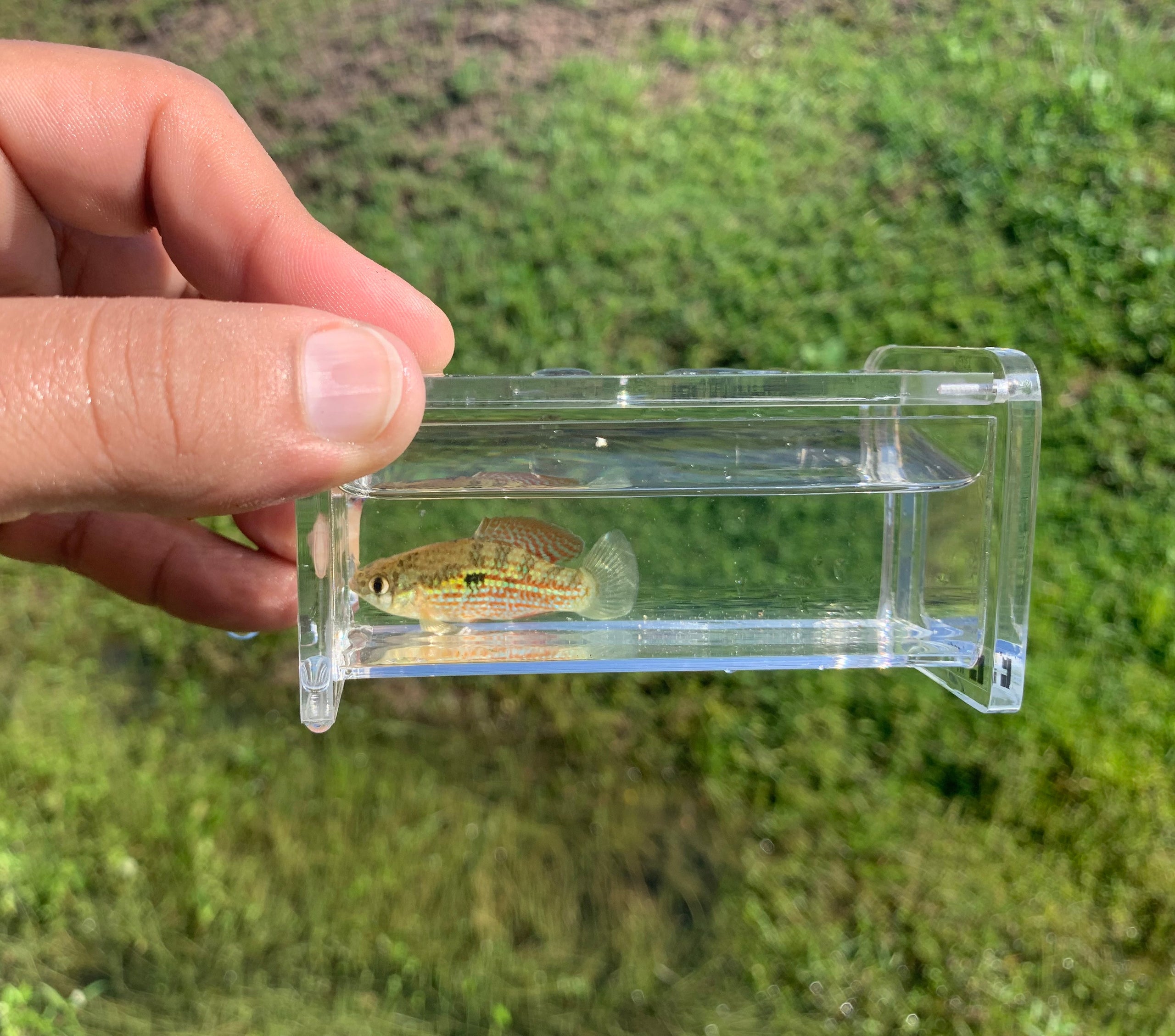 acrylic photo box $ 8 . 99