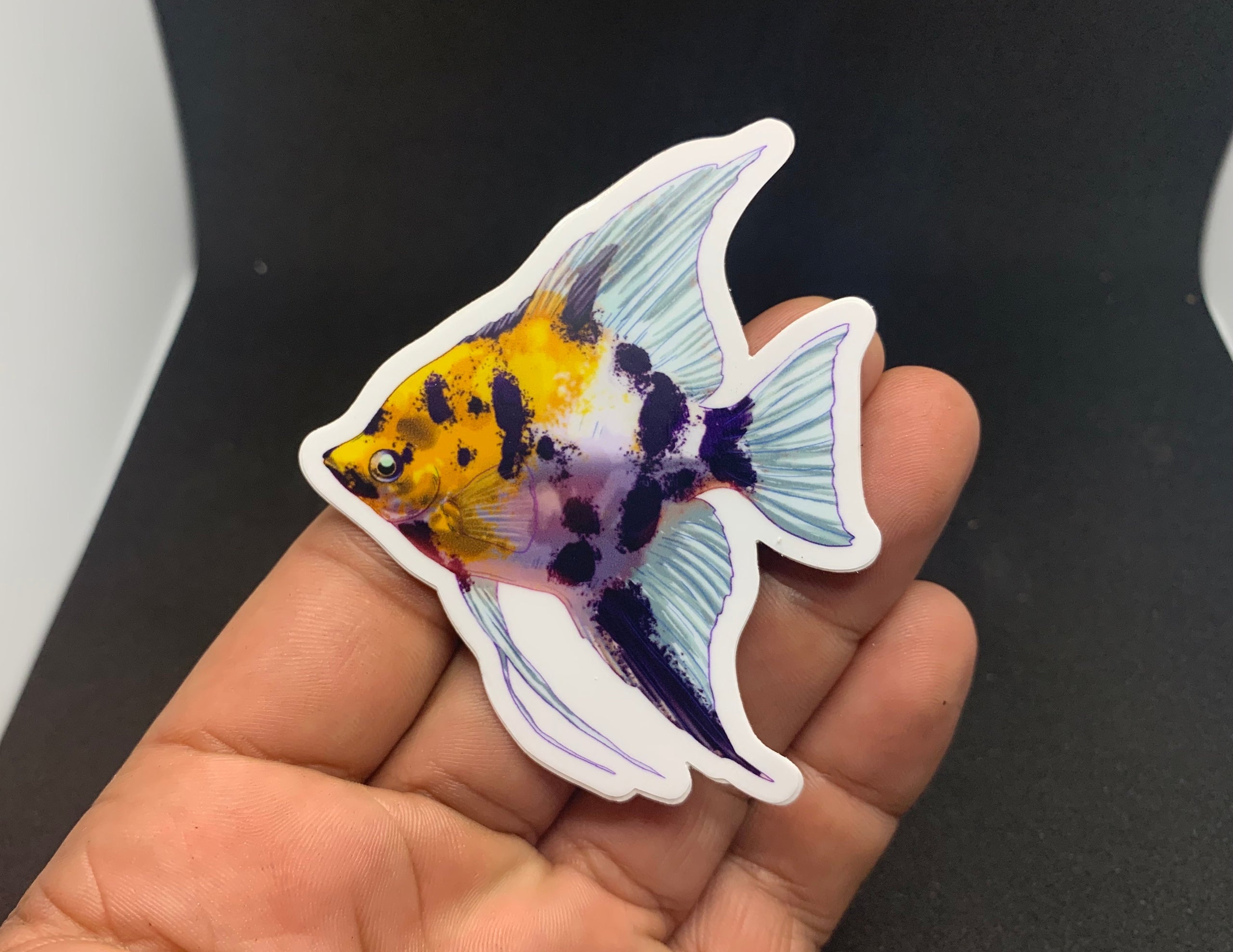 Koi Angelfish - Durable Vinyl Sticker | Wild Fish Tanks
